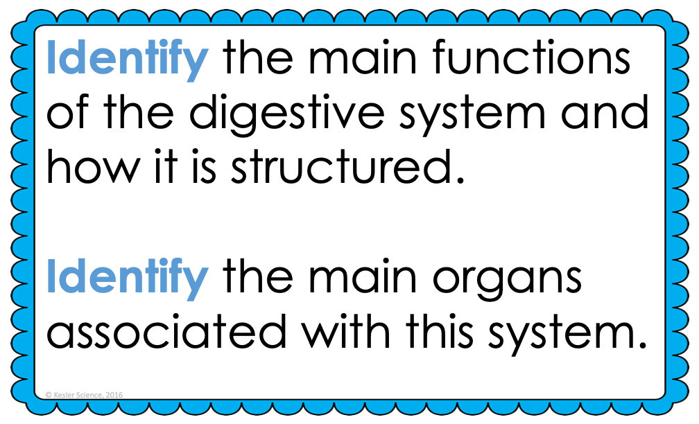 Digestive System Lesson Plan – A Complete 5E Method Science Unit